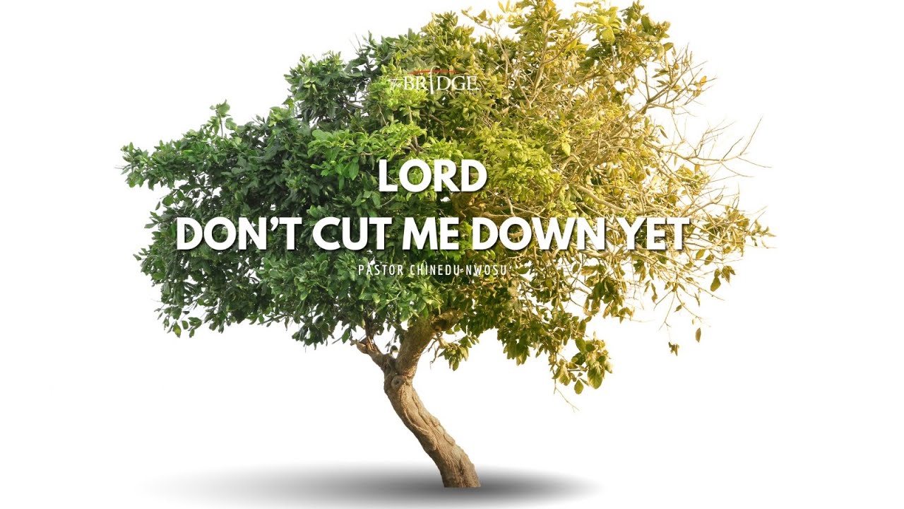 LORD DON'T CUT ME DOWN YET - YouTube