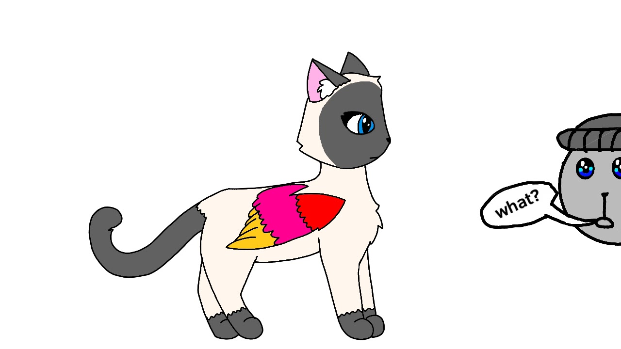 You kinda smell meme / collab with my brother Auggie the Husky - YouTube