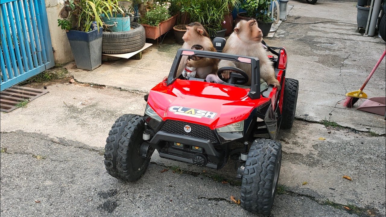 Toy Car Cannot move Battery Gone - YouTube