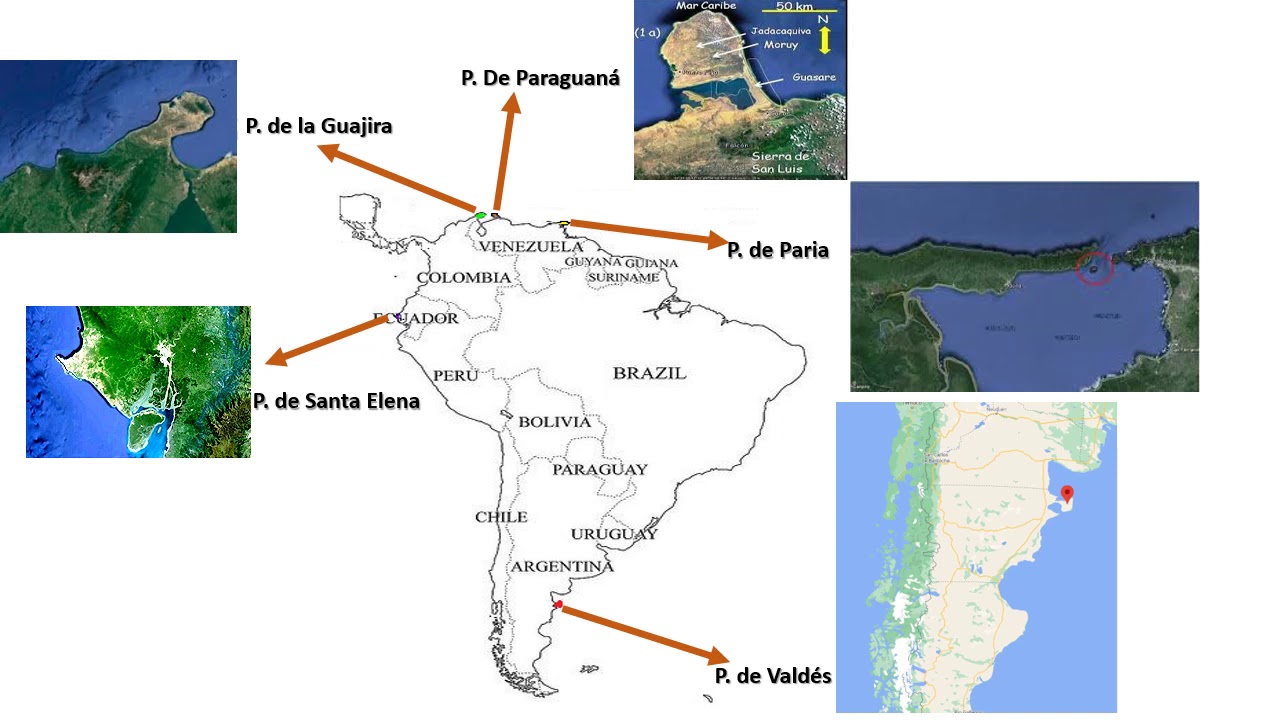 Accidentes geográficos: Penínsulas de América del Sur - YouTube