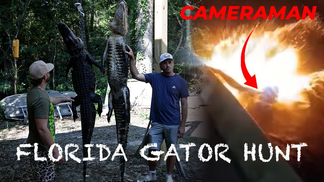 GATOR HUNTING WITH A BOW - Camera Man Falls Into Gator Infested Waters ...