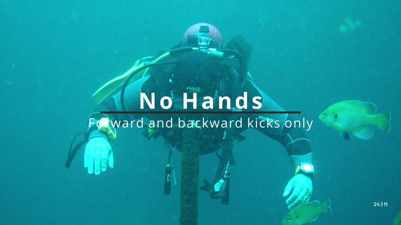 Buoyancy Exercises With Gus - How To Shorts - YouTube