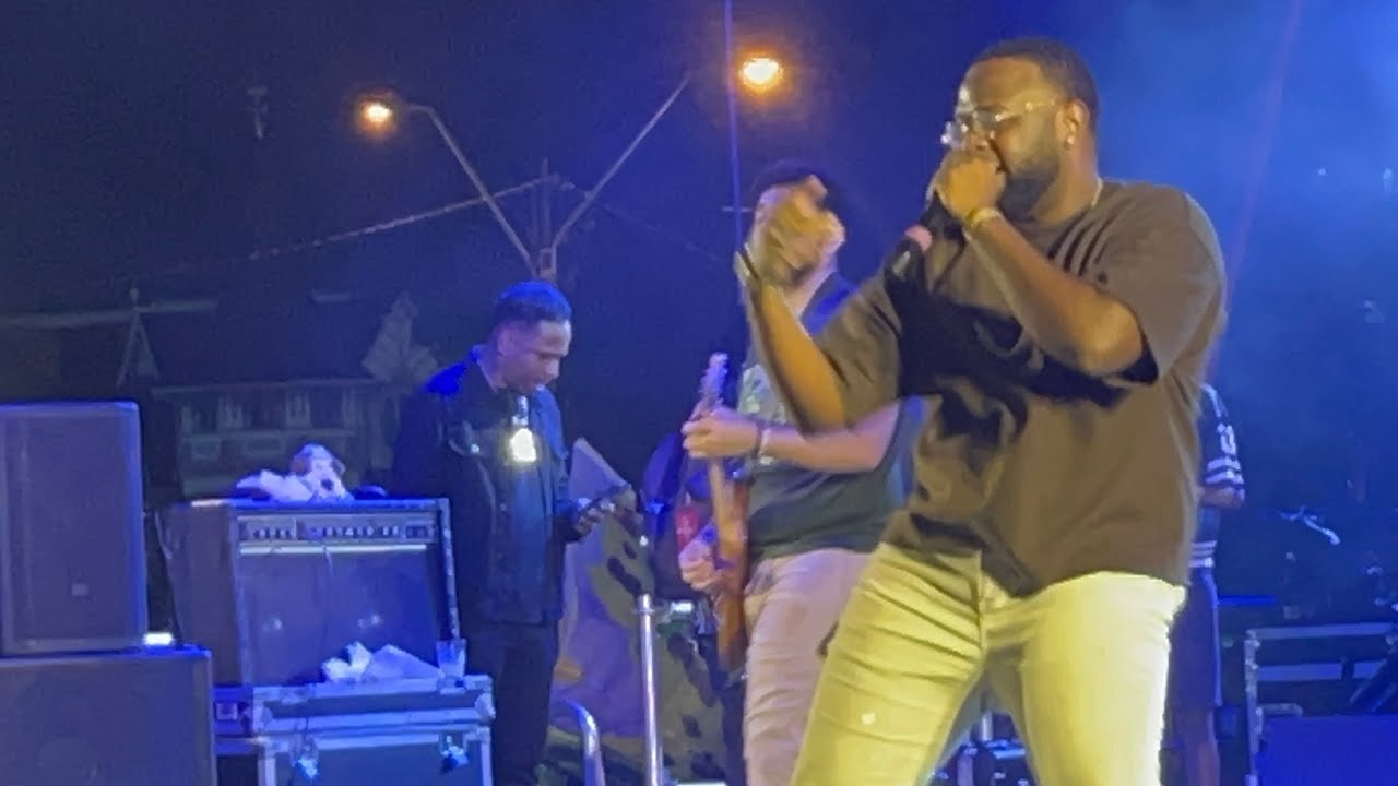 Tevin Hartman at Patrice Roberts Always Us Free Concert in Flava Vilage ...