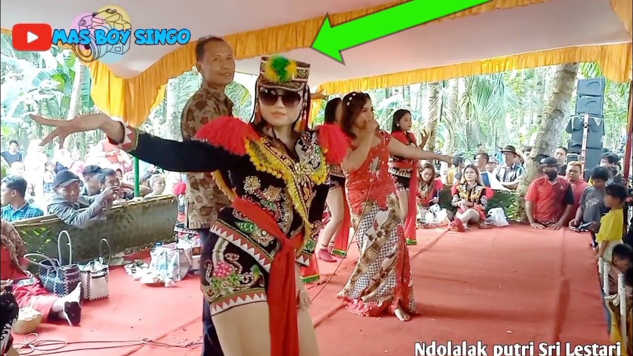 AMBAR MANTAP!!!! SENGIT,TATU & JAMBU ALAS NDOLALAK SRI LESTARI - YouTube