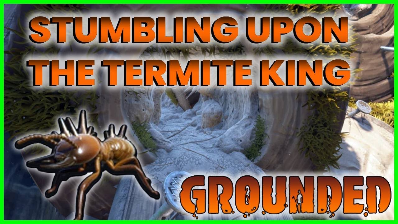 Exploring the Termite nest and stumbling upon the Termite King ...