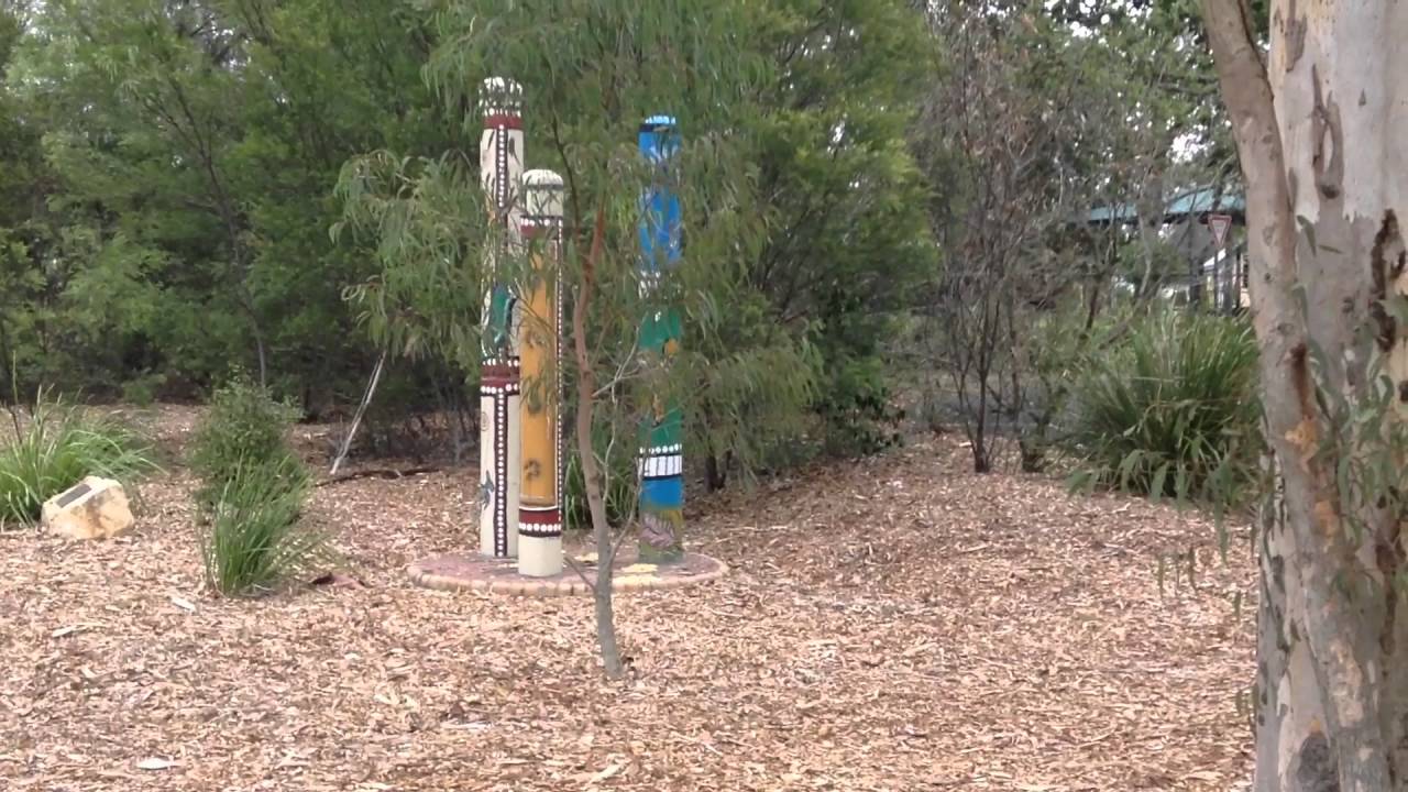 Walking on Turrbal land - YouTube