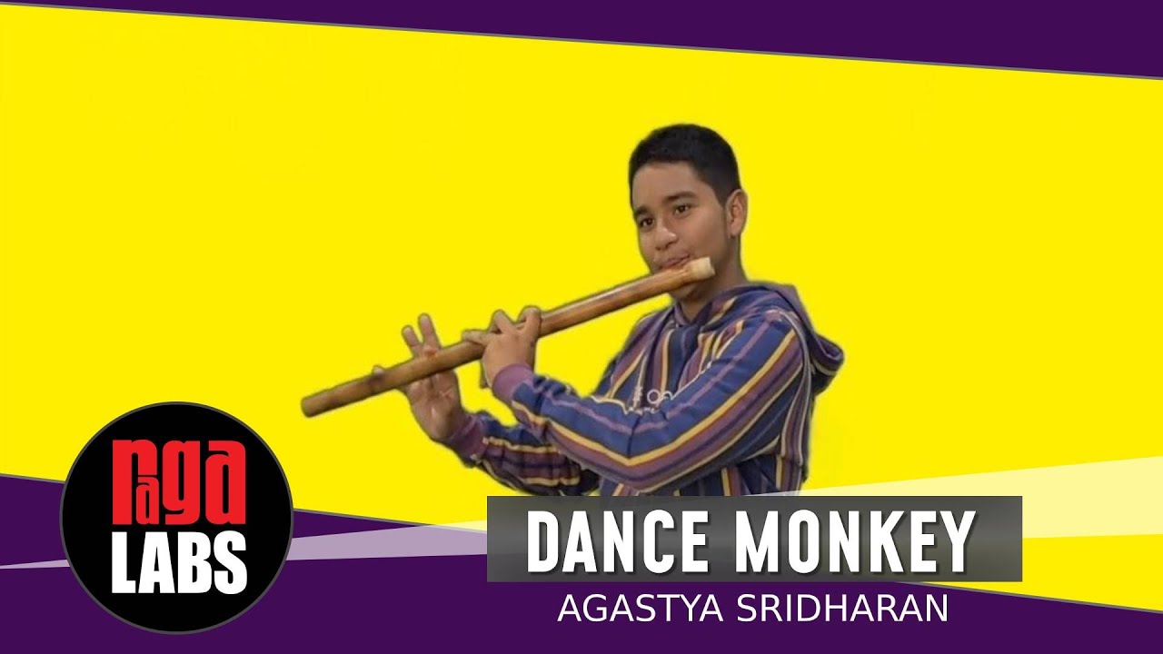 Dance Monkey | Flute | Agastya Sridharan - YouTube