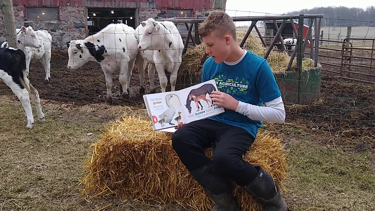 Story Time on the Farm, Part 1 - YouTube