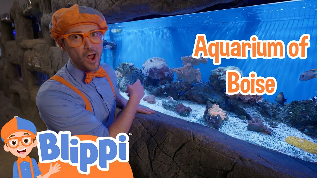 Blippi's At The Aquarium of Boise | Blippi Animal Videos For Kids ...