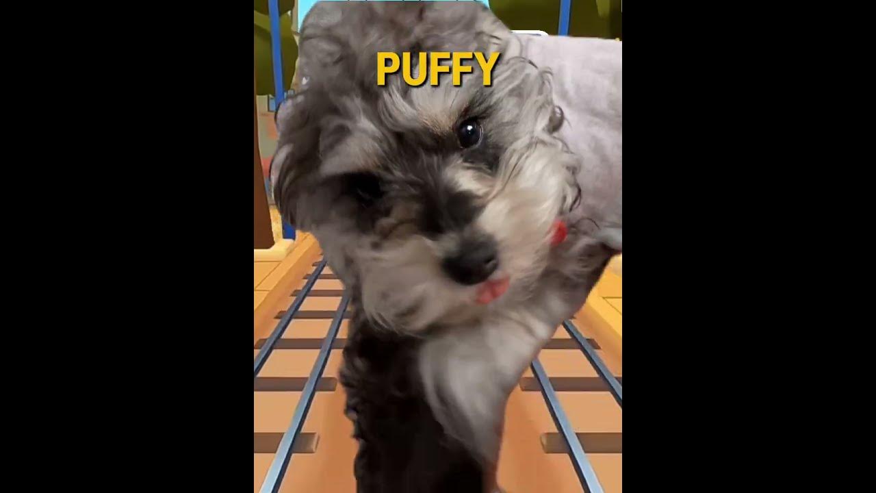 Puffy edit⭐/#puffy #monserrat_2810 - YouTube