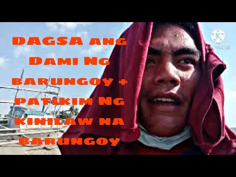 Fish tradition to buradol/Pagulpol/ at kinilaw na barungoy ipatikim sa ...