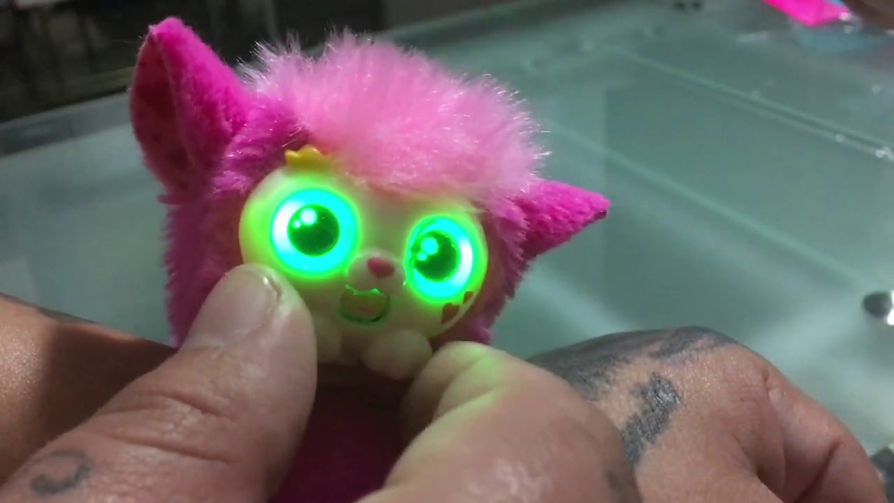 Wrapples Your Furry Best Friend. - YouTube