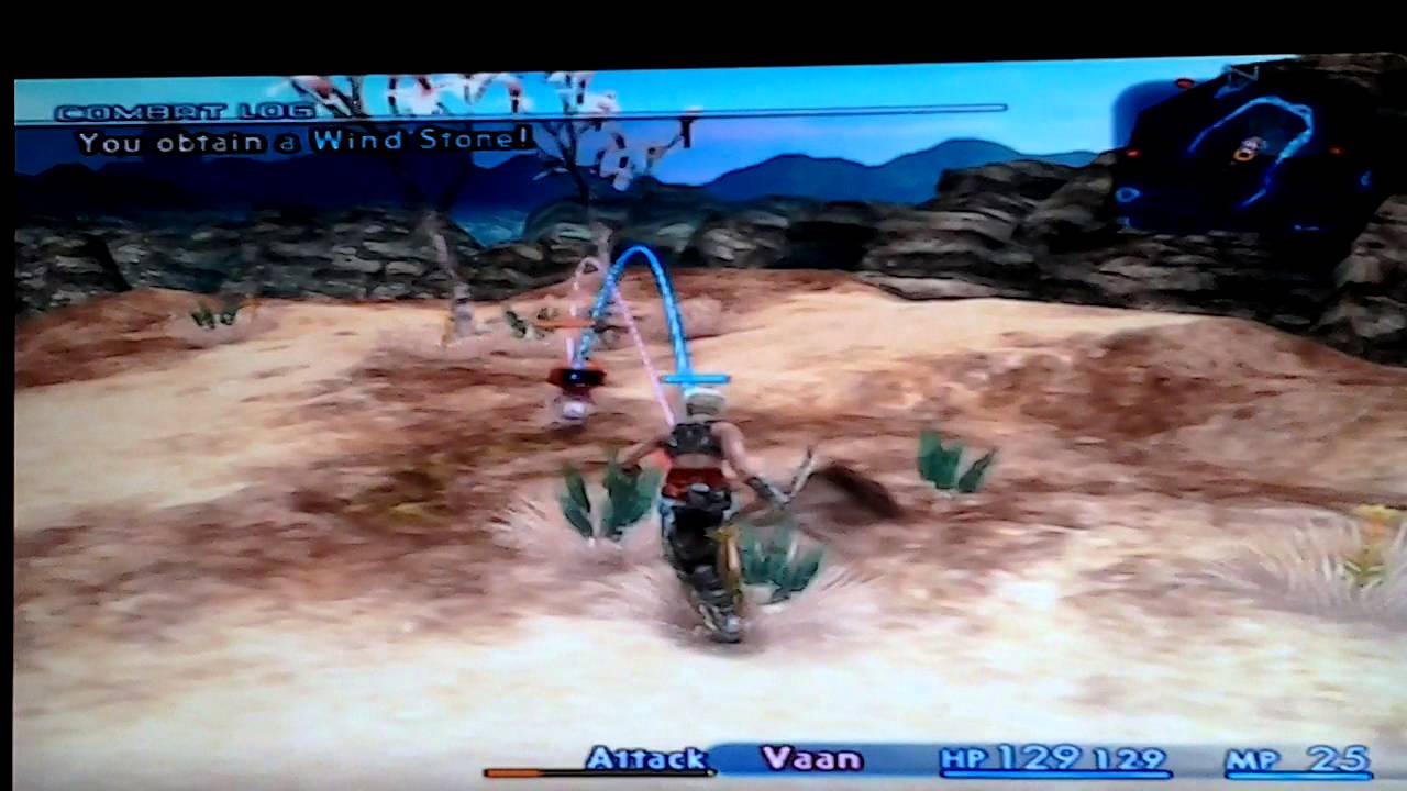 Final fantasy 12: Rogue Tomato - YouTube