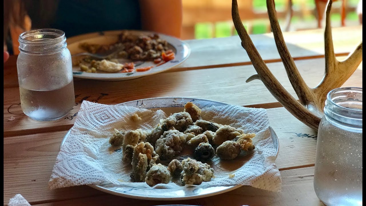 DELICIOUS MOREL MUSHROOMS: Kill & Grill | S3E13 | Limitless Outdoors ...