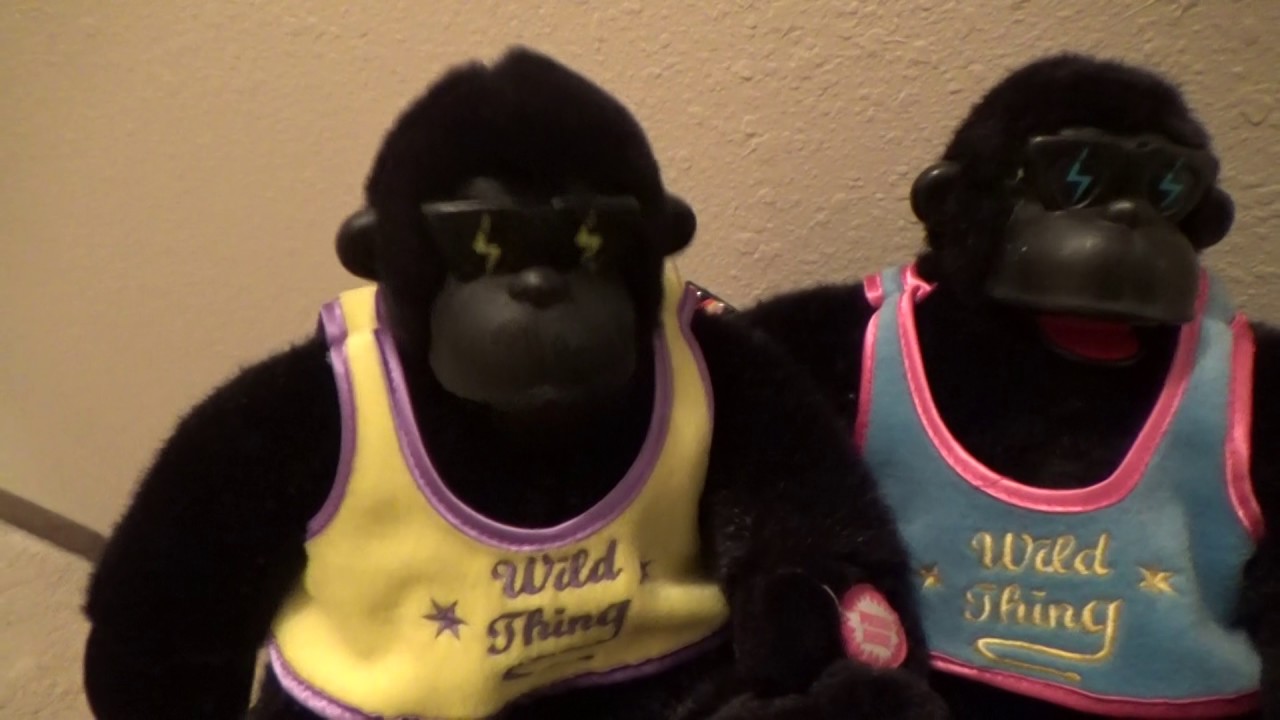 DanDee Animated: Singing Gorillas - YouTube