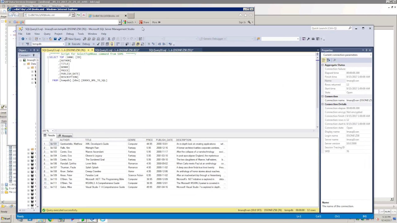 Sap Bo Data Services Tutorial Xml To Sql Youtube 6330