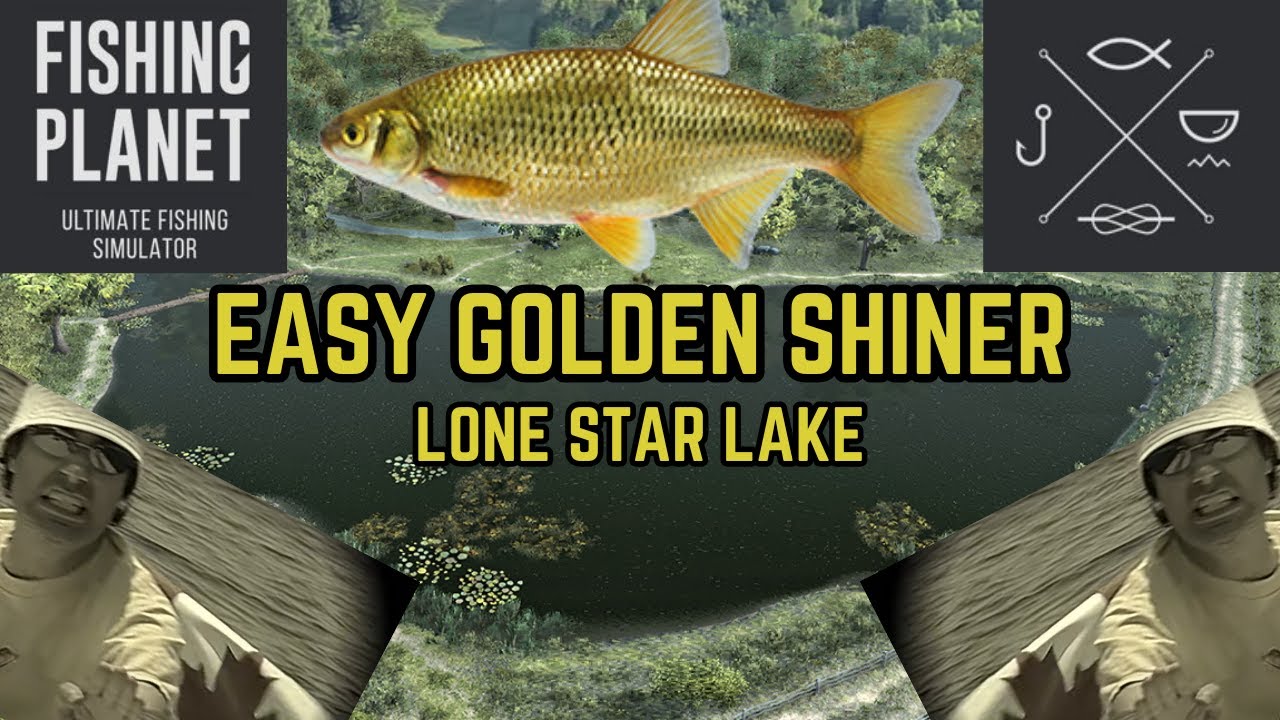 How To Quickly Catch The Golden Shiner In Fishing Planet! - YouTube