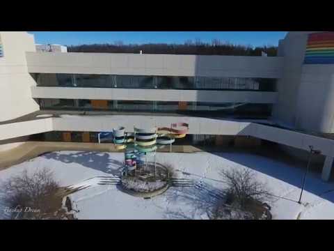 Where Greyhound Ghosts Go To Run - YouTube