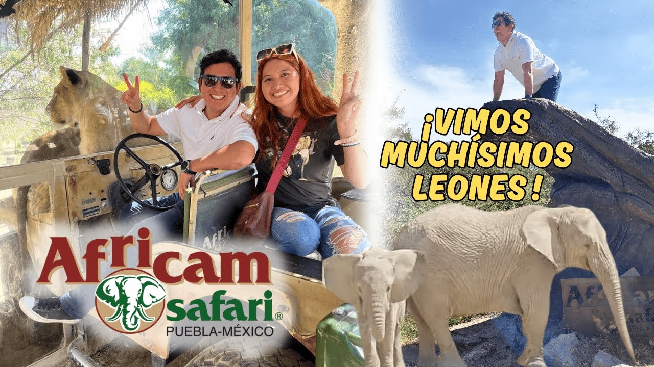 ¡Nuestra visita al AFRICAM SAFARI! ¡El mejor safari de México! - YouTube