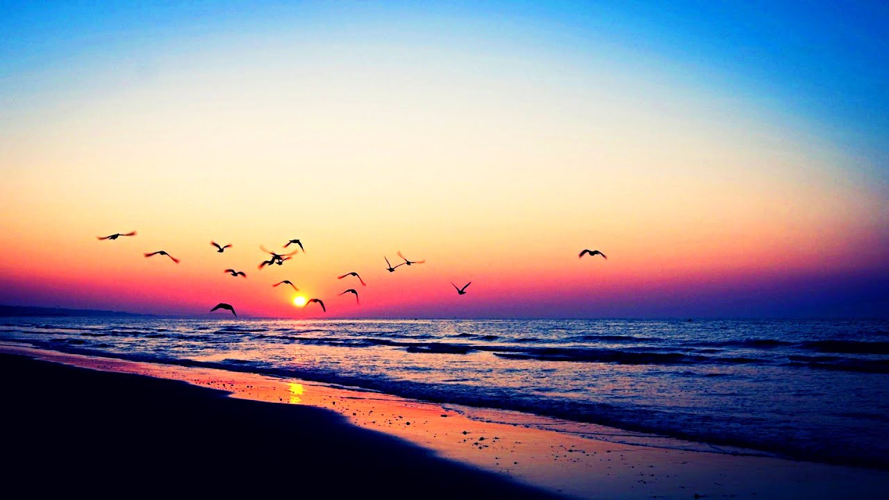 MagiCXbeats - Vibe Simulator - YouTube