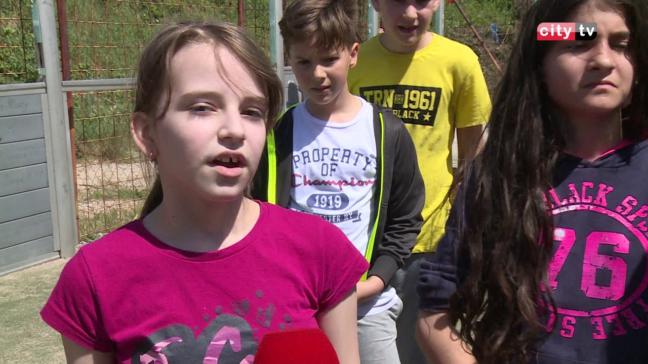 Mala olimpijada u OŠ "Mustafa Ejubović Šejh Jujo" - City televizija ...