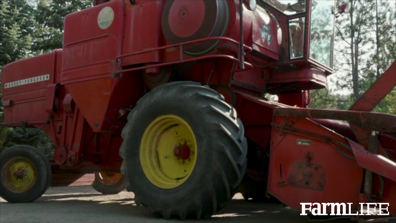 Caldwell Heritage Farm and a Vintage Massey Ferguson 300 Combine - YouTube