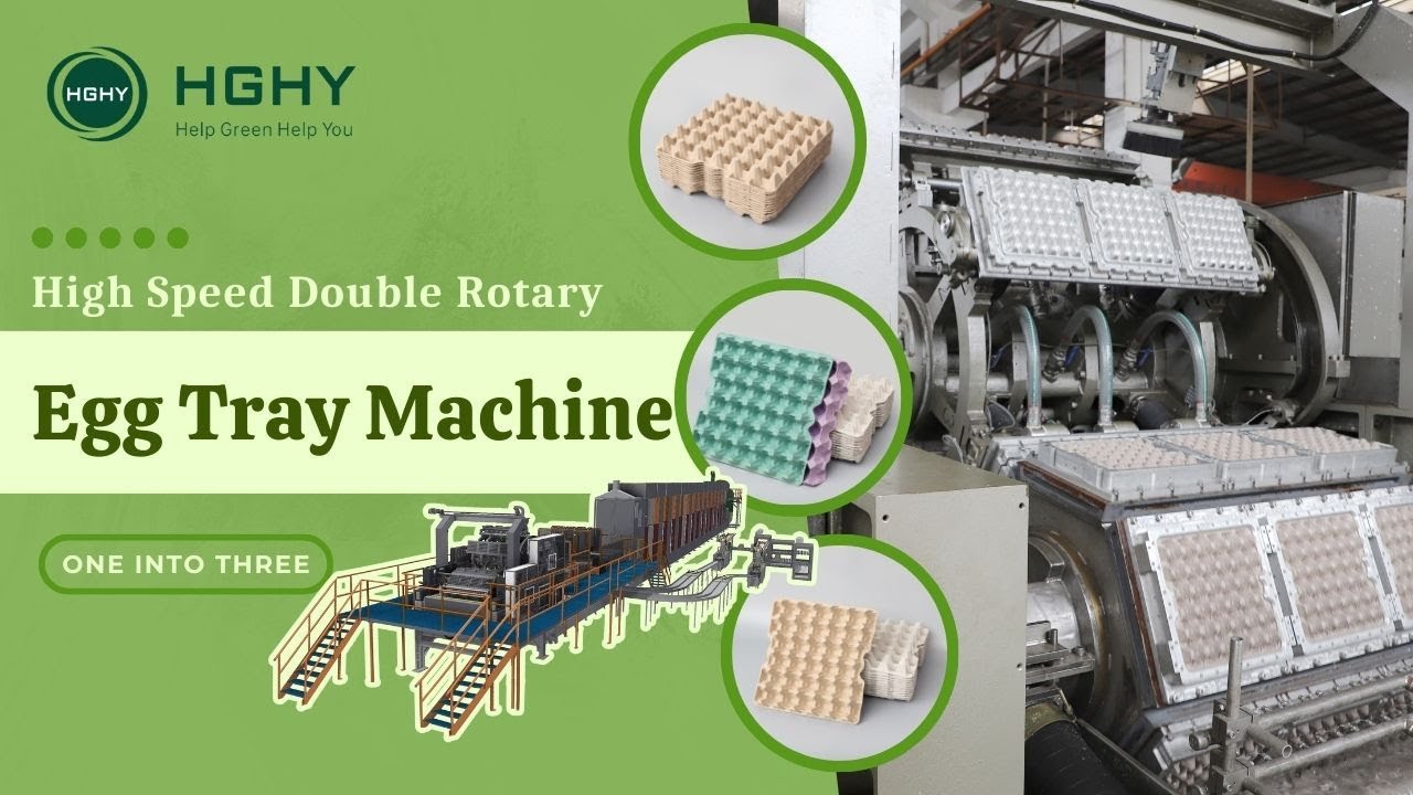 High Speed Double Rotary Egg Tray Machine（One into three） - YouTube