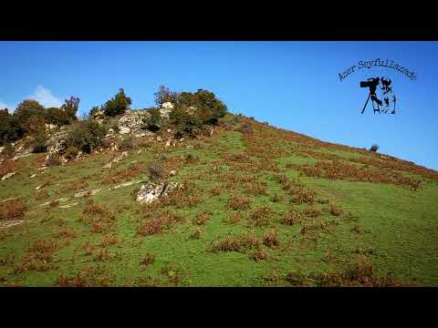 Dağlar Oy , Fon Muziği , Astara Talış Dağları