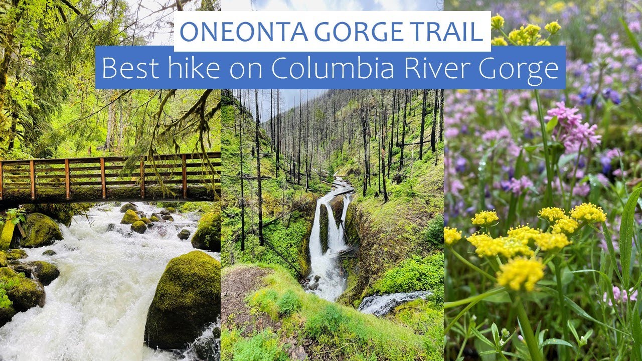 Oneonta Gorge trail highlights | Footage from June 2022 [4K] - YouTube