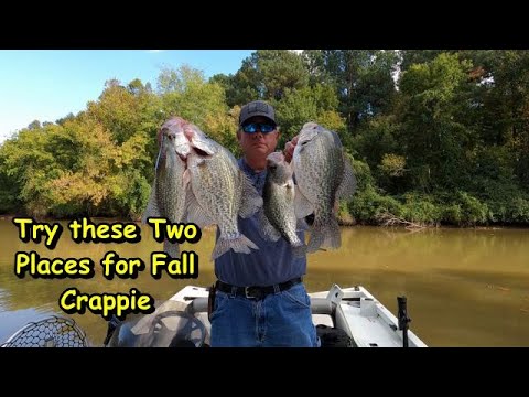 Fall Crappie Fishing Secrets Revealed! How to catch crappie on Eno ...