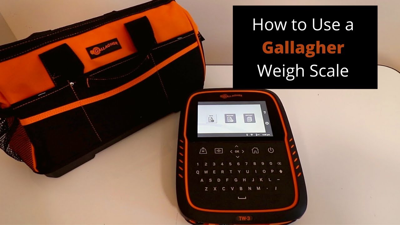 How To Use A Gallagher Weigh Scale// EASY AS: Using a iPad - YouTube