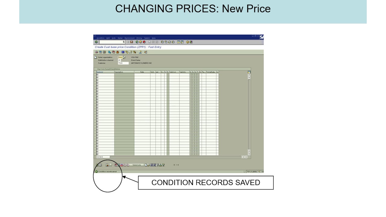 GUIDE SAP R3 CHANGING PRICES VK11 & VK12 & VA02 - YouTube