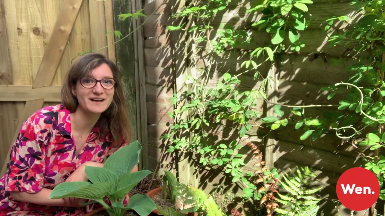 Grow Rocket & Mustard with Clyo - YouTube
