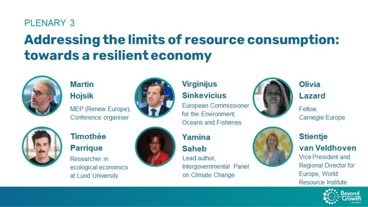 #BeyondGrowth - Addressing the limits of resource consumption: towards ...