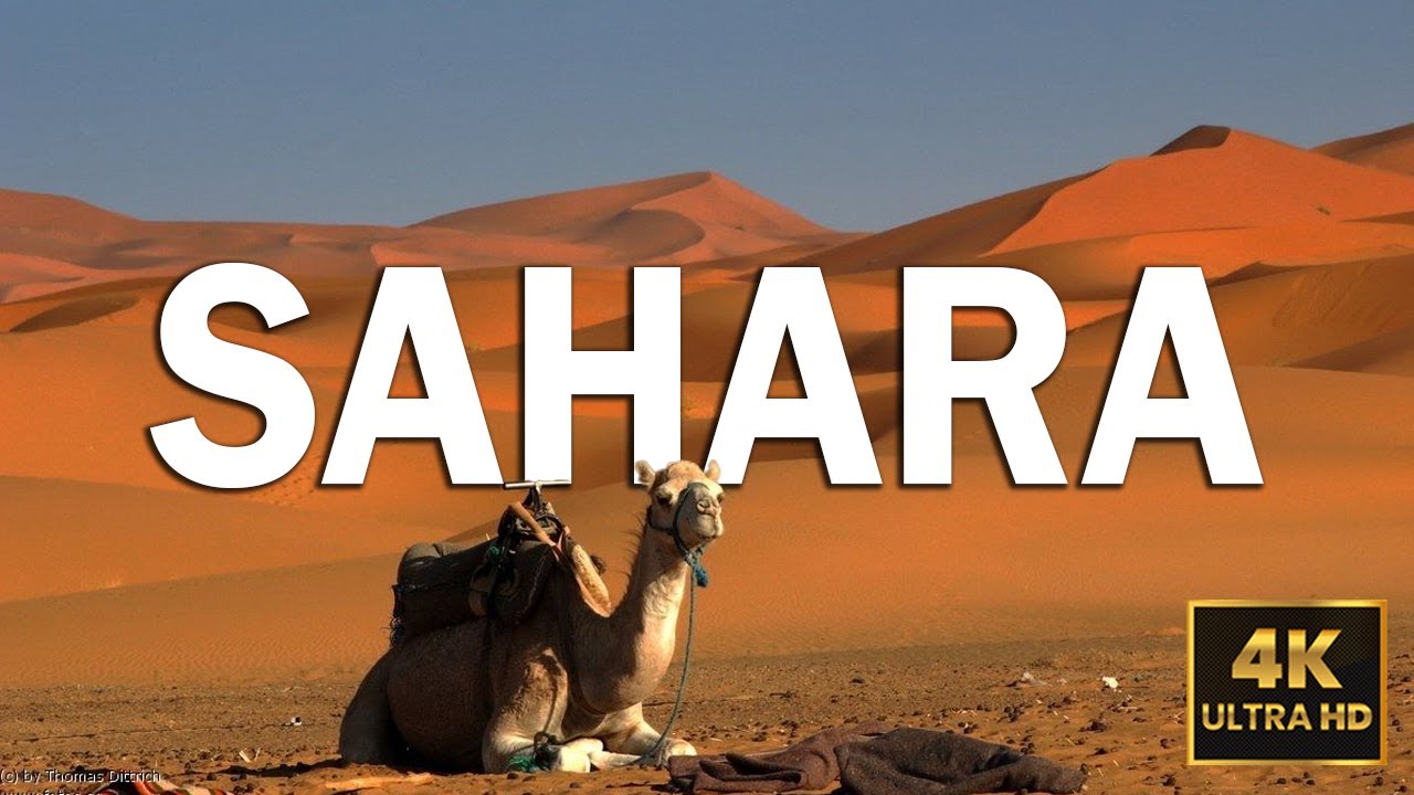Sahara 4K HDR 60FPS (UHD) - YouTube