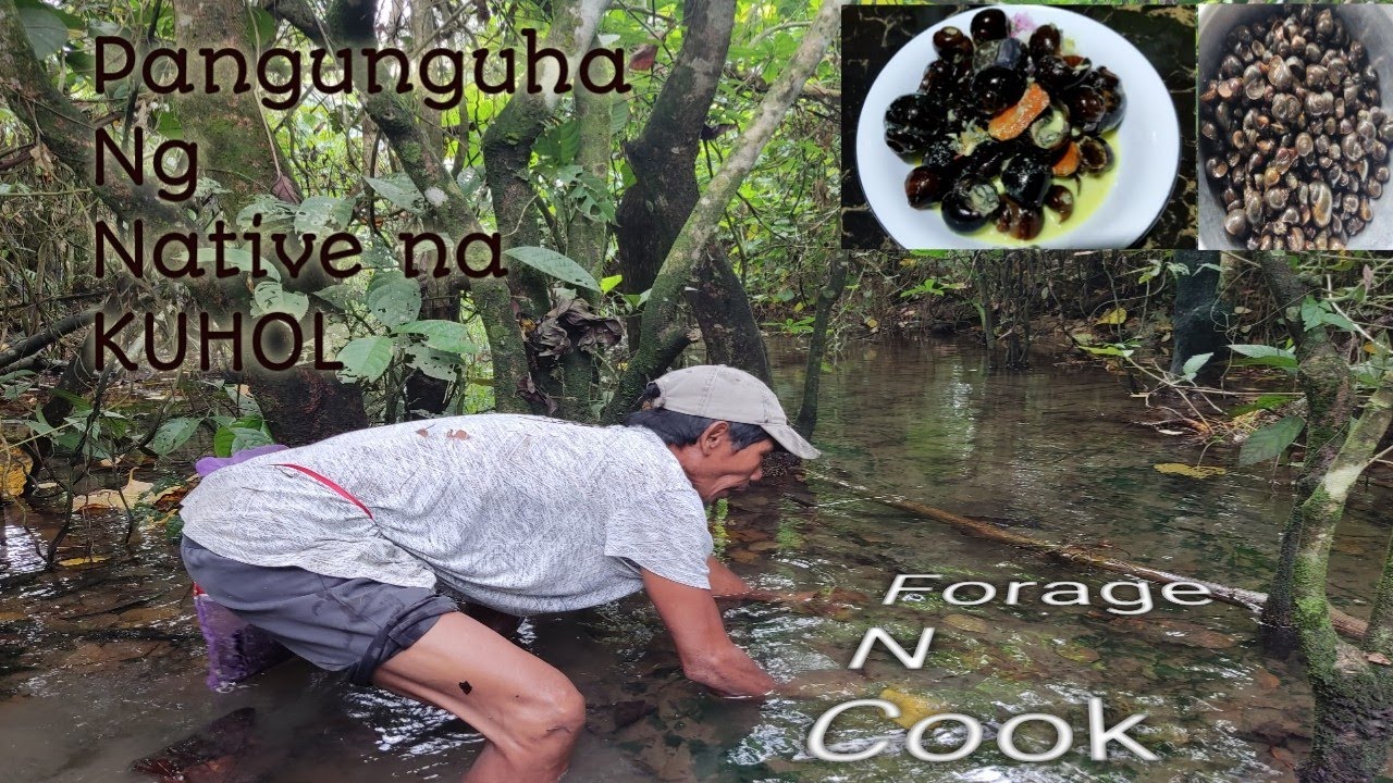 Pangunguha ng native na kuhol | Forage N Cook | Or. Mindoro - YouTube