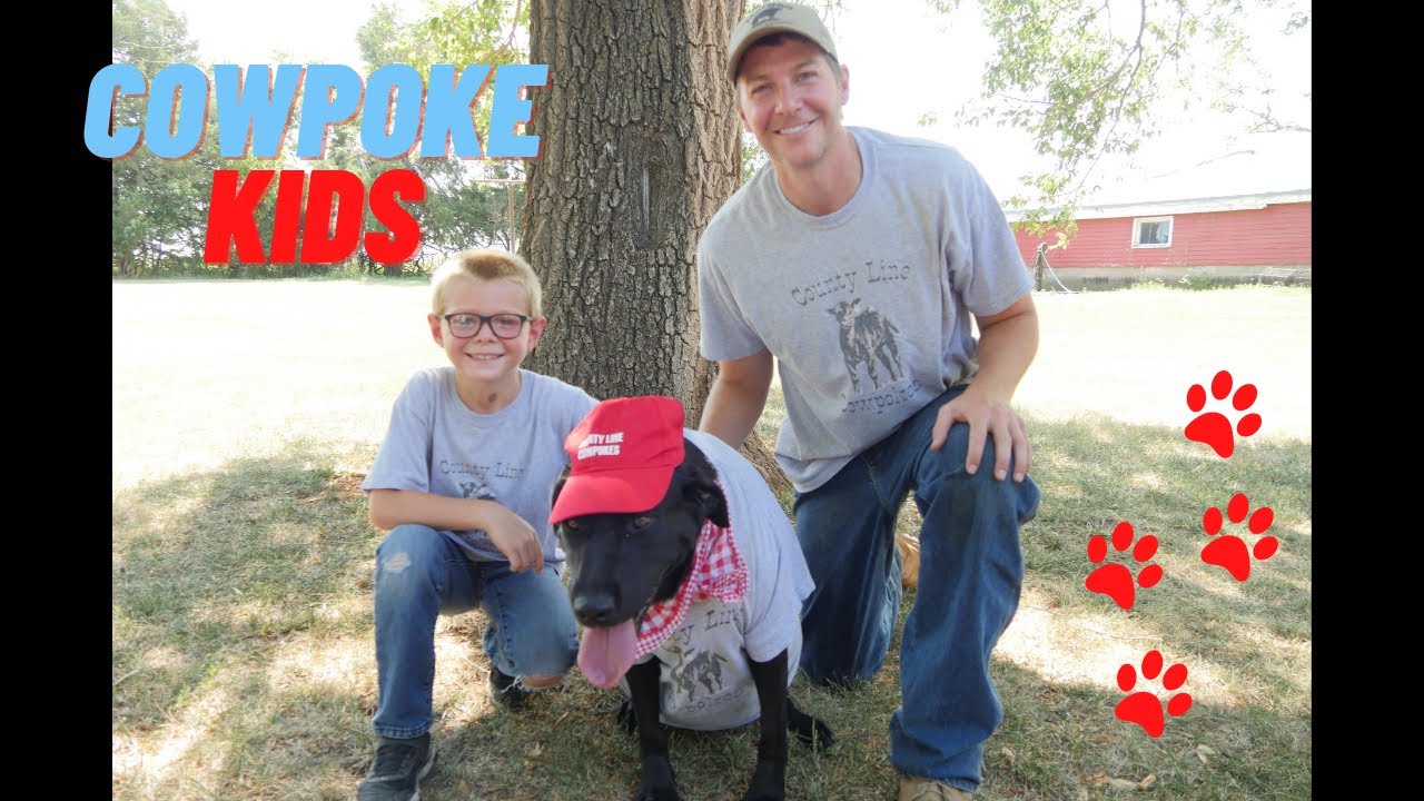 Dog Tricks! Training our Farm Dog to become Casey the Cow Dog on the ...