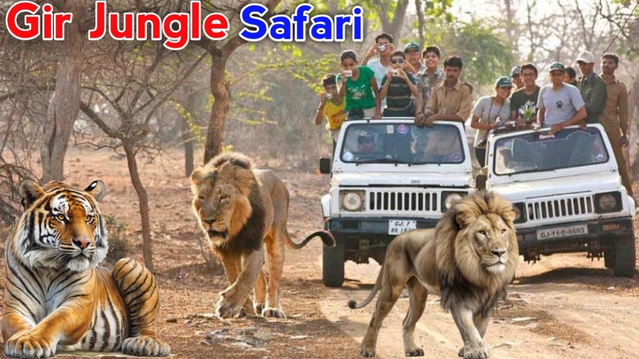 Gir National Park | Jungle Safari | Gir Jungle | Devaliya Sasan Gir ...