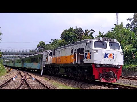 Kereta Melaju indah di pelosok Desa Gagahnya KA Argo Semeru Livery HUT ...
