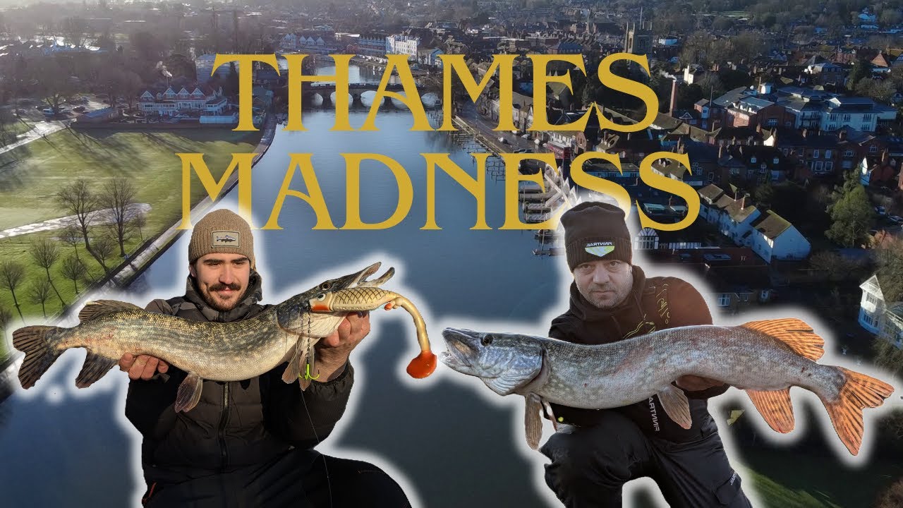 -Lure fishing the River THAMES for hungry PIKE- - YouTube
