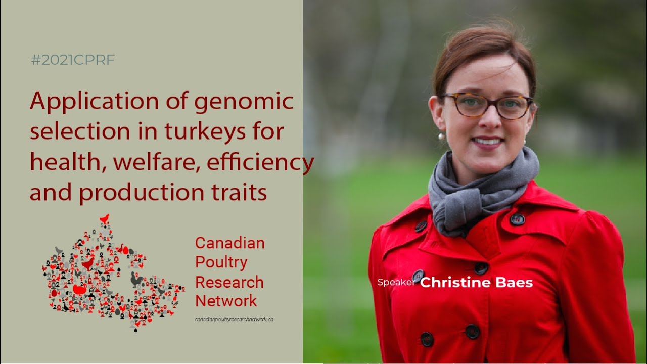 Application of genomic selection in turkeys for health, welfare ...