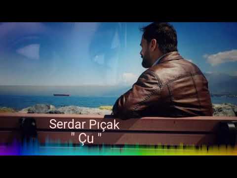 Serdar Pıçak  Çu 2020