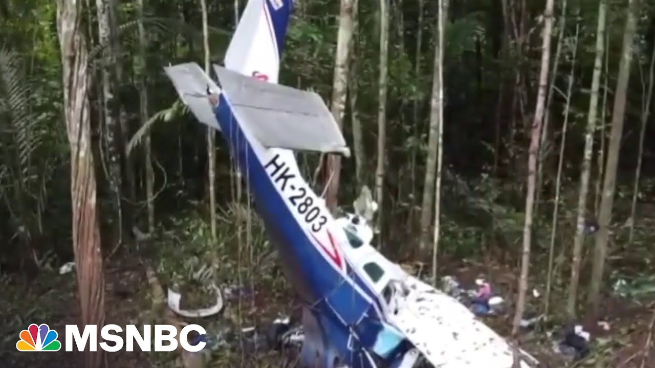 4 children survive plane crash, 40 days in Colombian jungle - YouTube