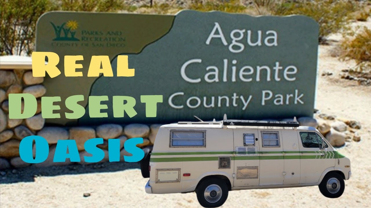 Oasis 🏝 Sonoran Desert - Agua Caliente Park 🏜 - YouTube