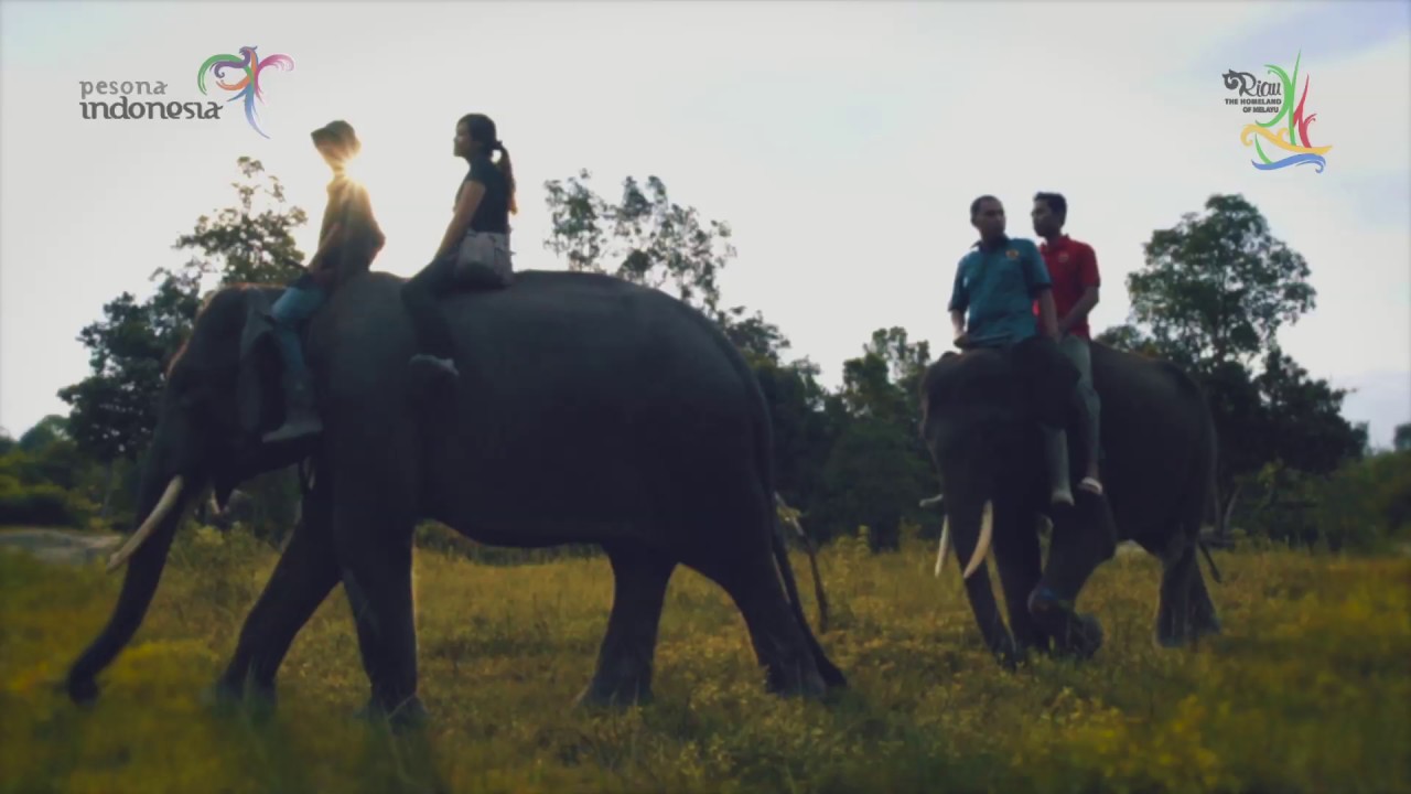 Pesona Indonesia Video Launching Pariwisata Riau - Wisata Unggulan ...