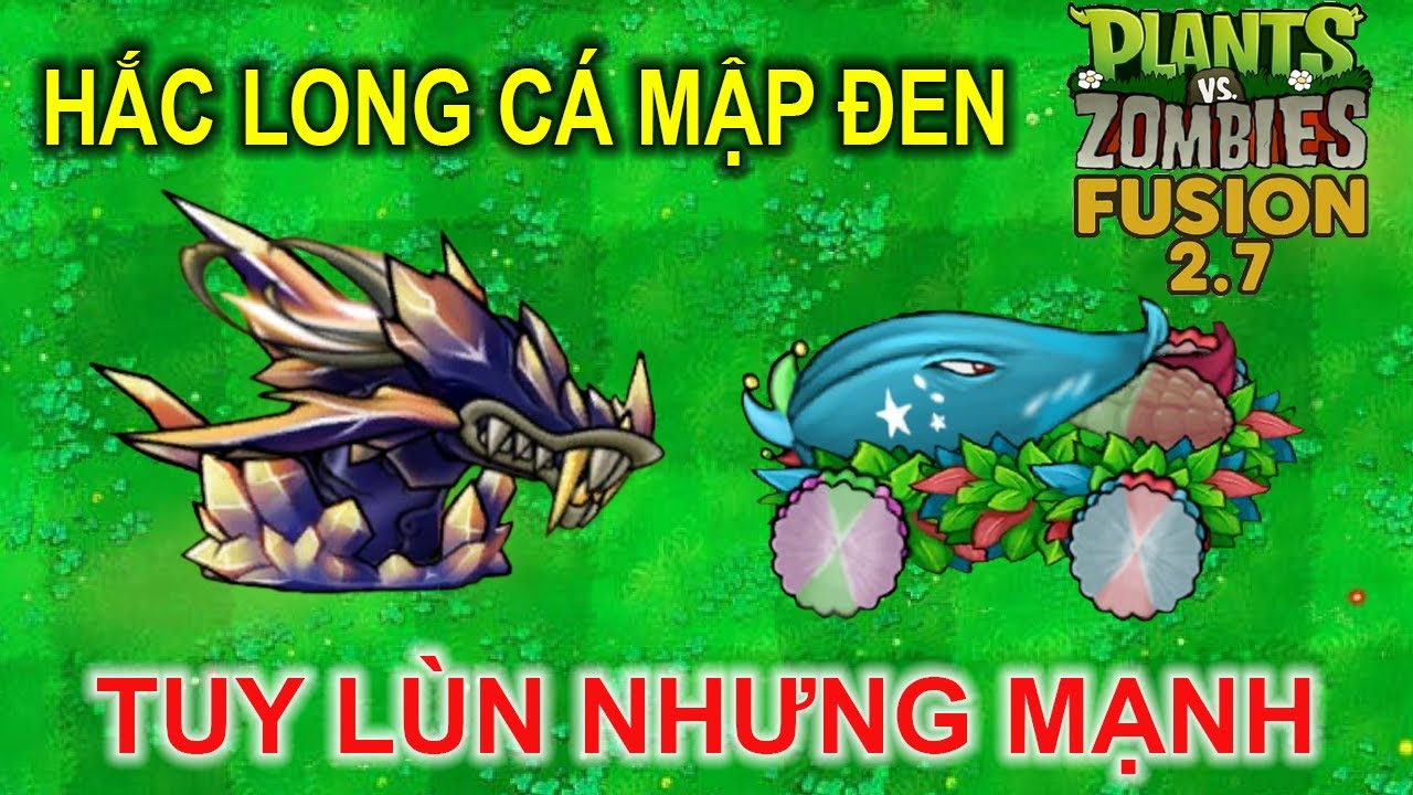 TUY ANH HƠI LÙN TÝ NHƯNG ANH RẤT MẠNH, HẮC LONG MẠNH NHẤT | PVZ RH ...