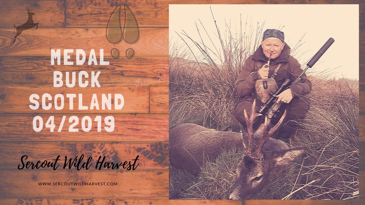 We Start the Roe Bucks 2019 with Medal Buck... - YouTube