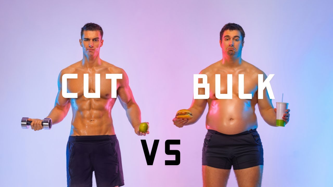 CUT VS BULK | FOR NEWBIES - YouTube