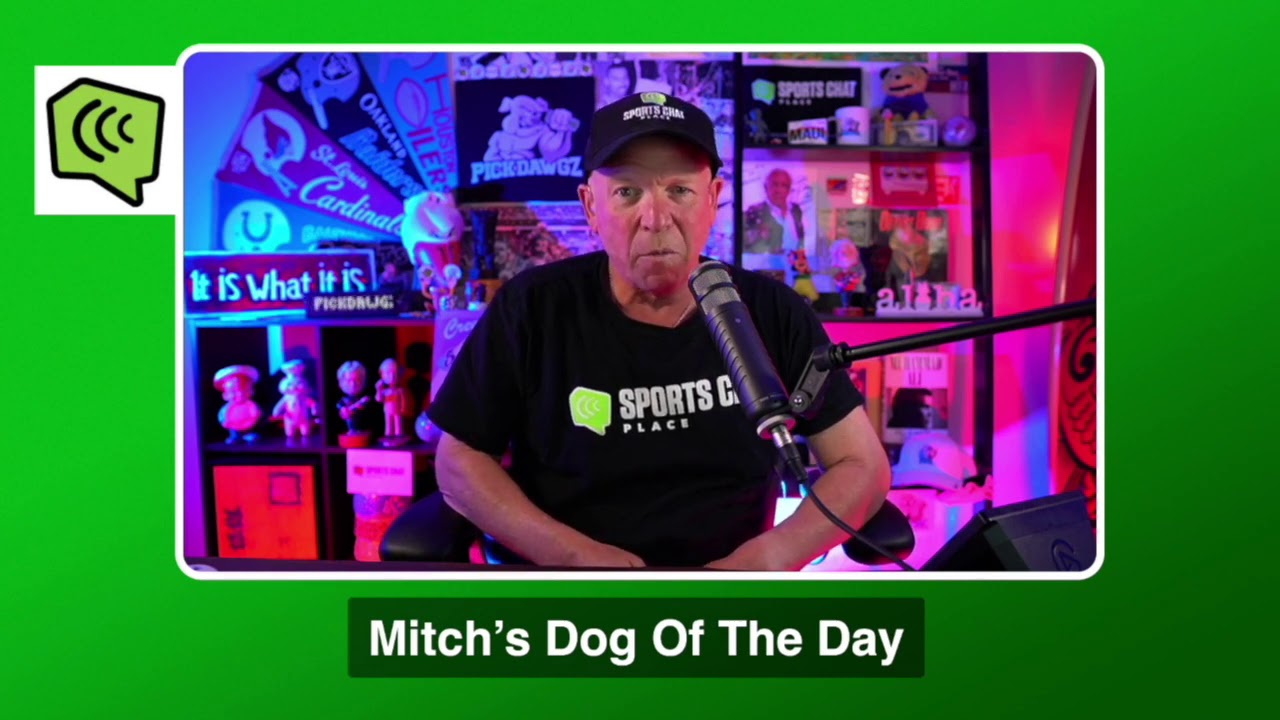 Mitch's Dog of the Day 9/9/20: Free MLB Pick MLB Picks, Predictions and ...