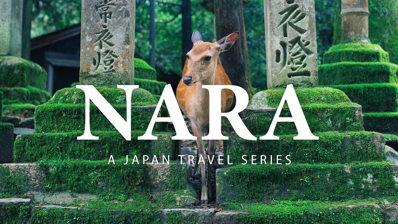 Nara |Part 4| Japan Travel Film - Sony A7III Vlog - YouTube